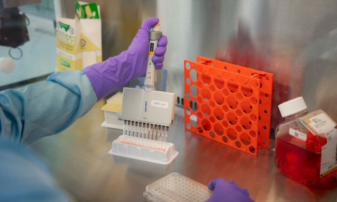 CGT Catapult, Pharmaron Biologics (UK) Ltd and Complement Therapeutics ...